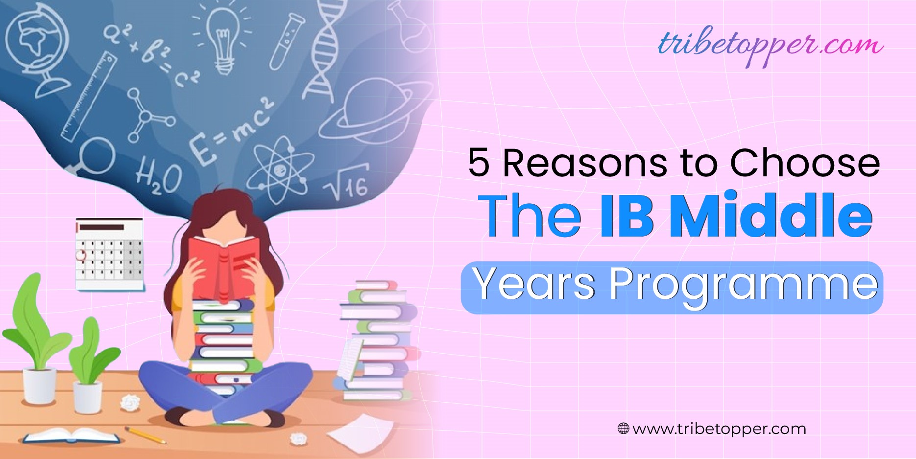 5 Reasons to Choose the IB Middle Years Programme Top 5 Compelling ...